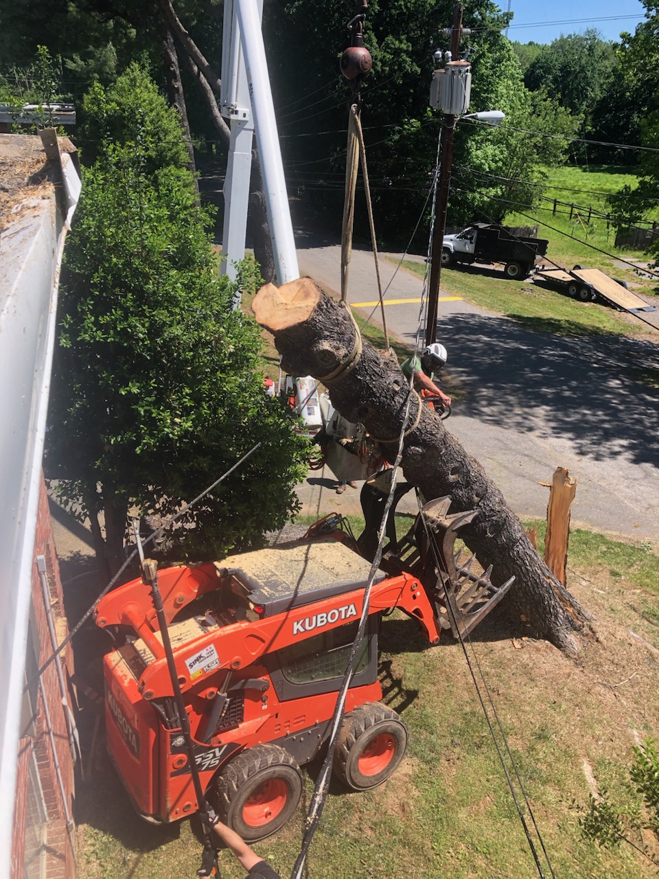 Land Management – Triad Tree Service